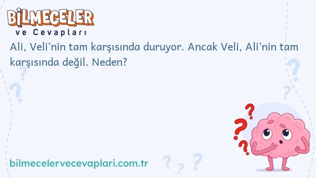 Ali, Veli’nin tam karşısında duruyor. Ancak Veli, Ali’nin bilmecesinin ...